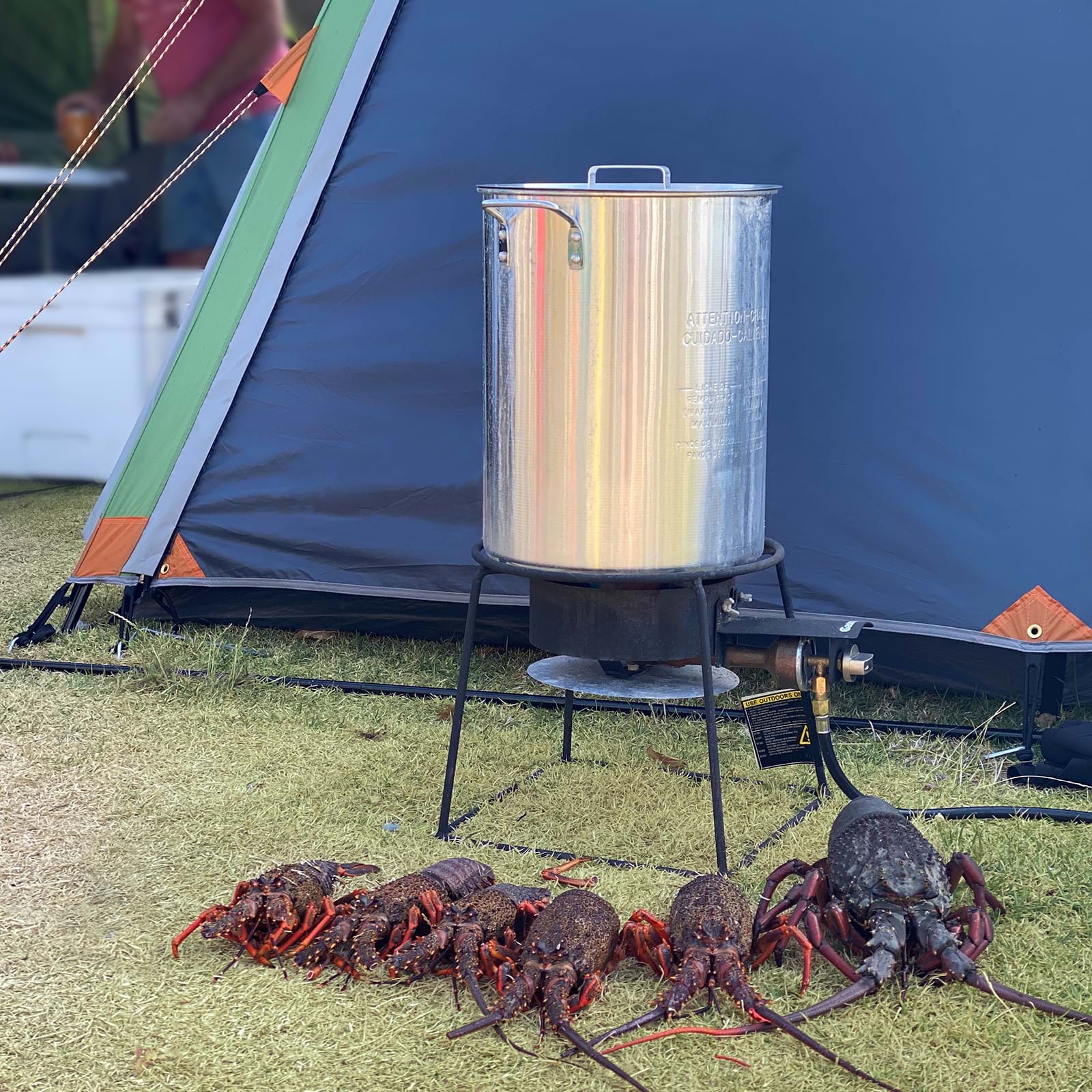 Gasmate High Output Cooker & Pot Set